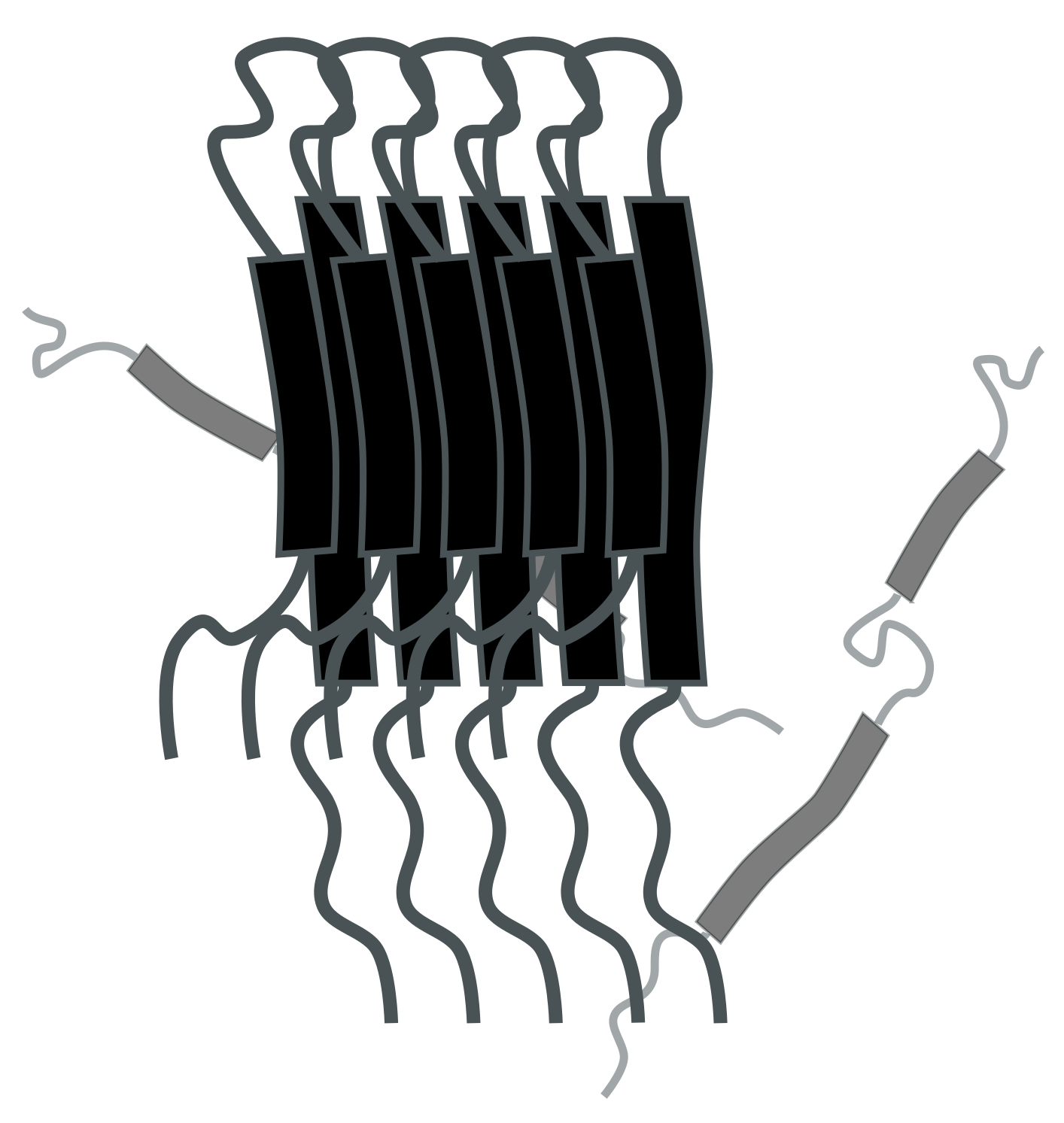 Protein Oligomerization | McDermott
